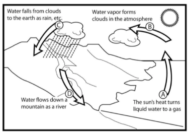 Water Cycle Jeopardy Jeopardy Template