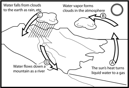 Earth and Space Jeopardy Template